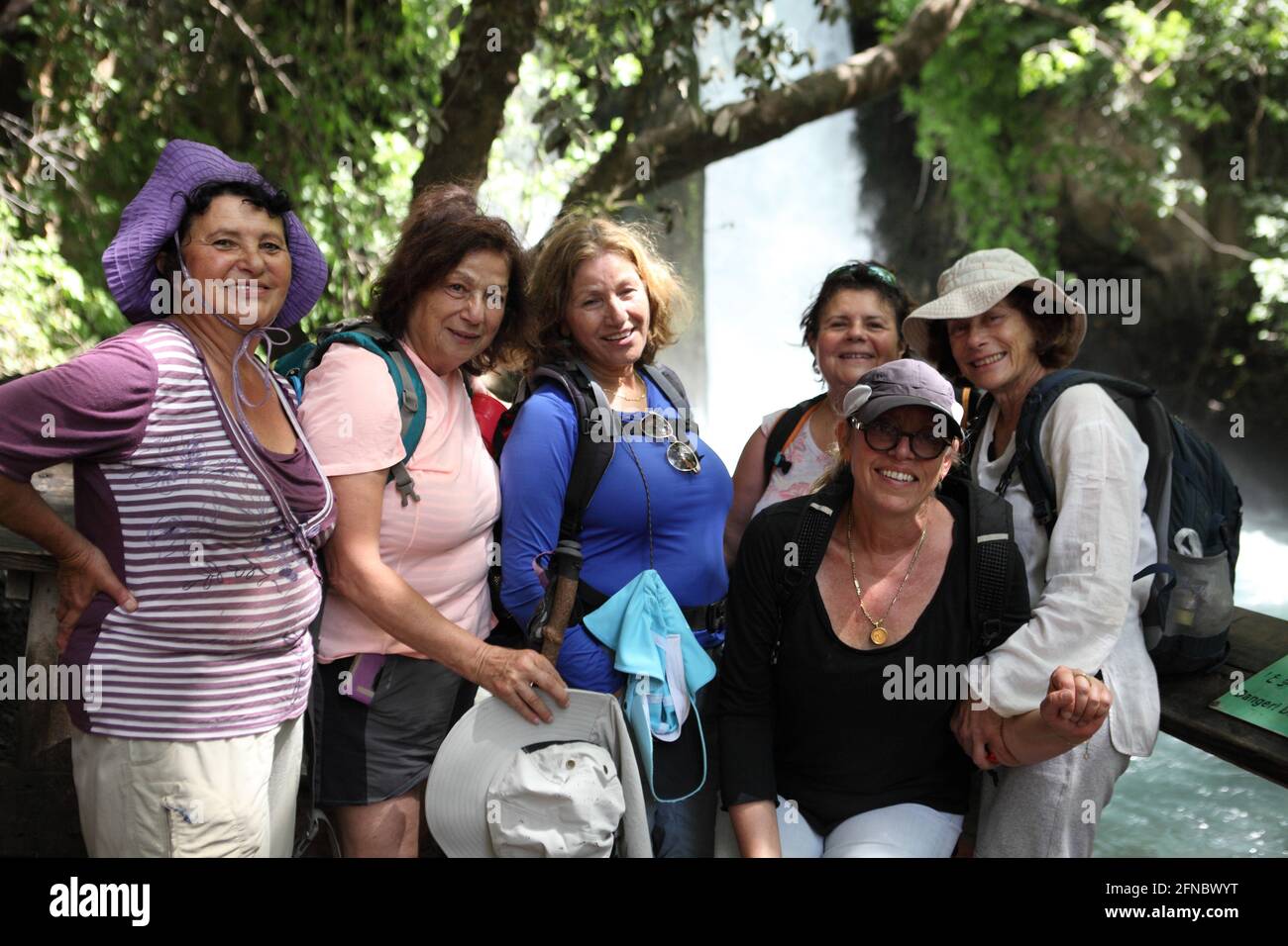 Group photo of smiling senior women, hikers they are in the forest with ...