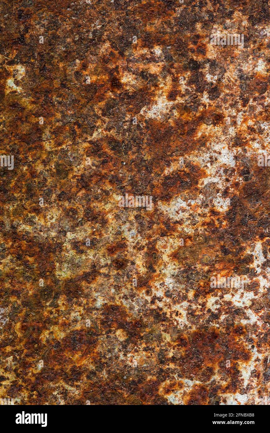 Close up of rust and corrosion forming on a steel sheet. Mineralisation ...