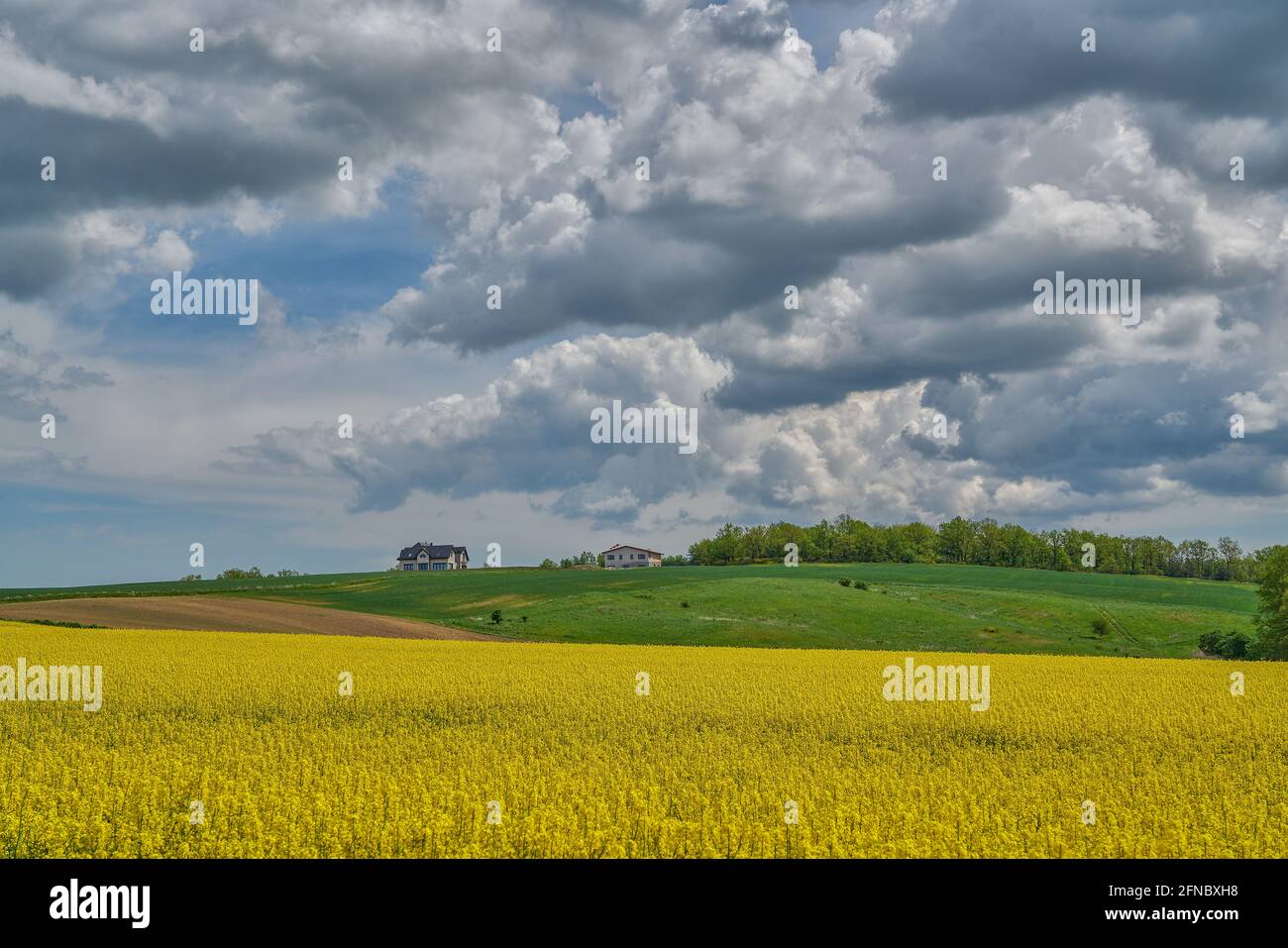Spring rural landscape Lower Silesia Poland Stock Photo - Alamy