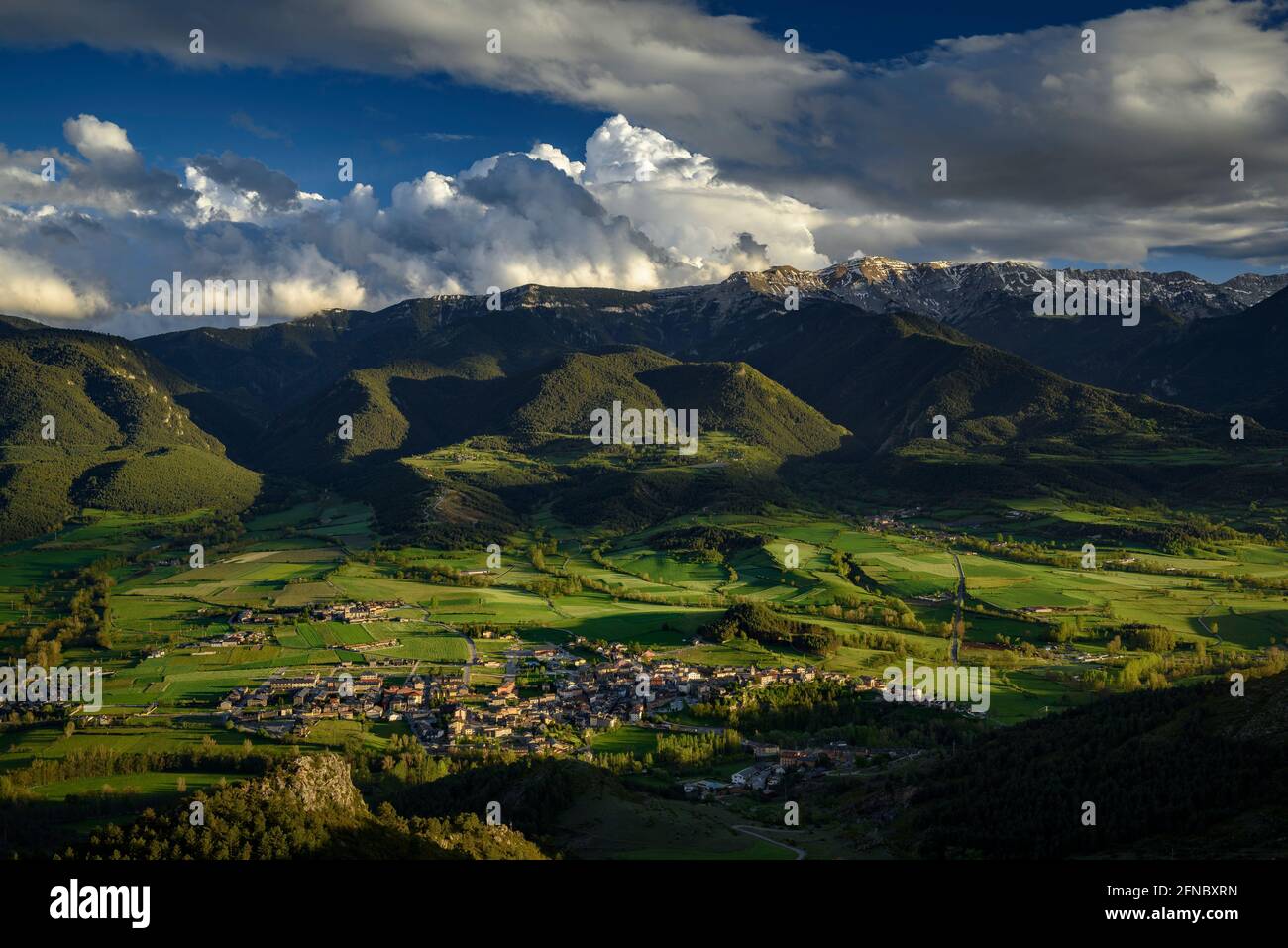 Orden de primavera hi-res stock photography and images - Alamy