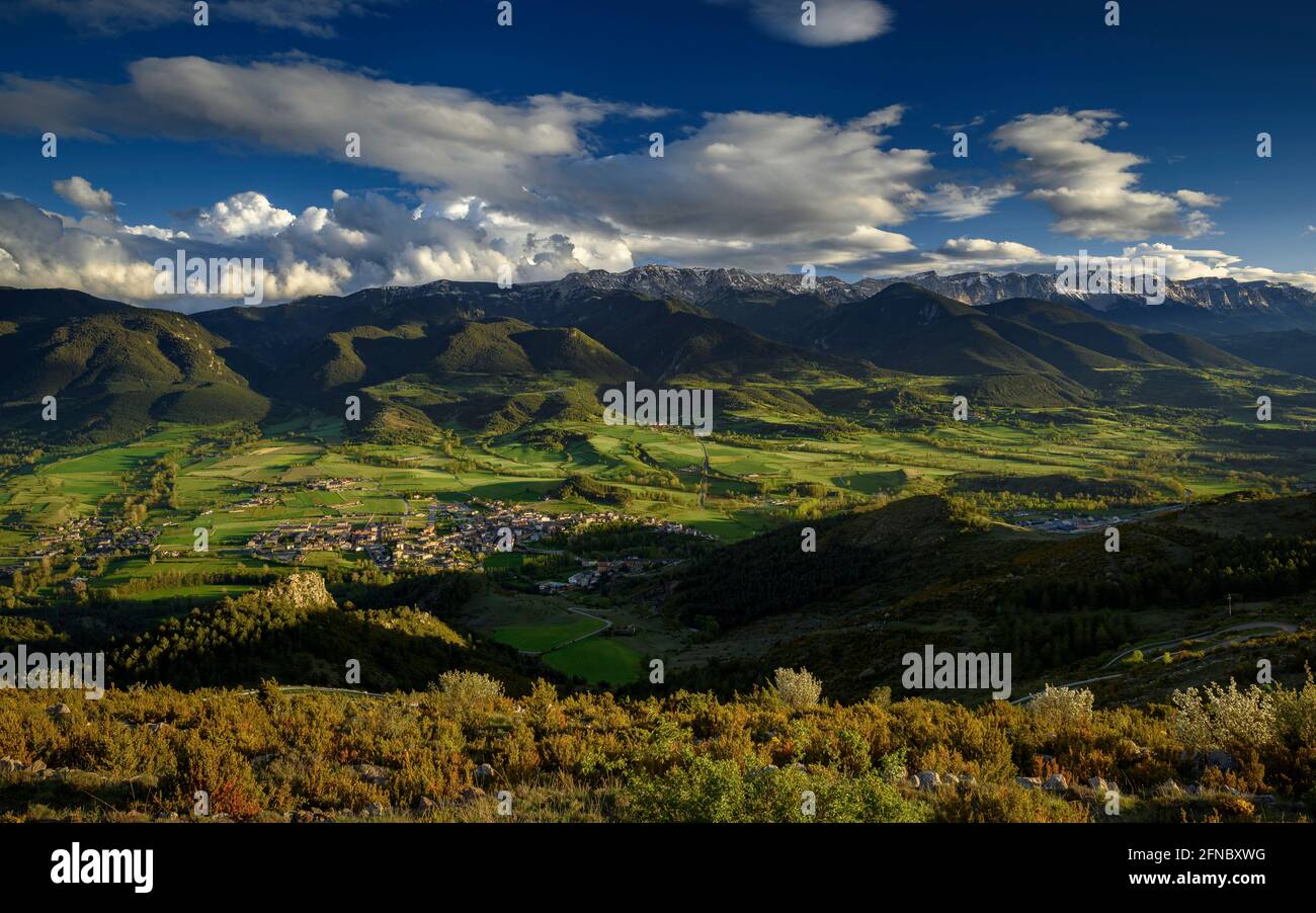 Orden de primavera hi-res stock photography and images - Alamy