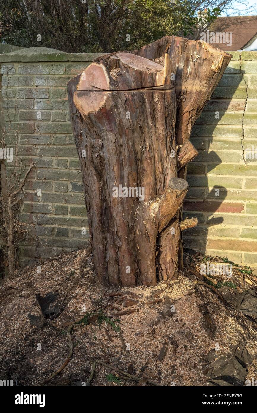 Brown gardener picture hi-res stock photography and images - Alamy