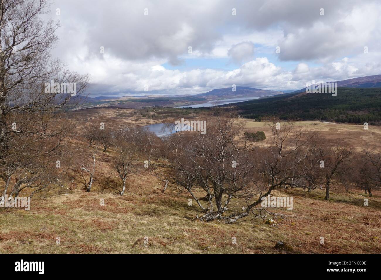 Loch monaghan hi-res stock photography and images - Alamy