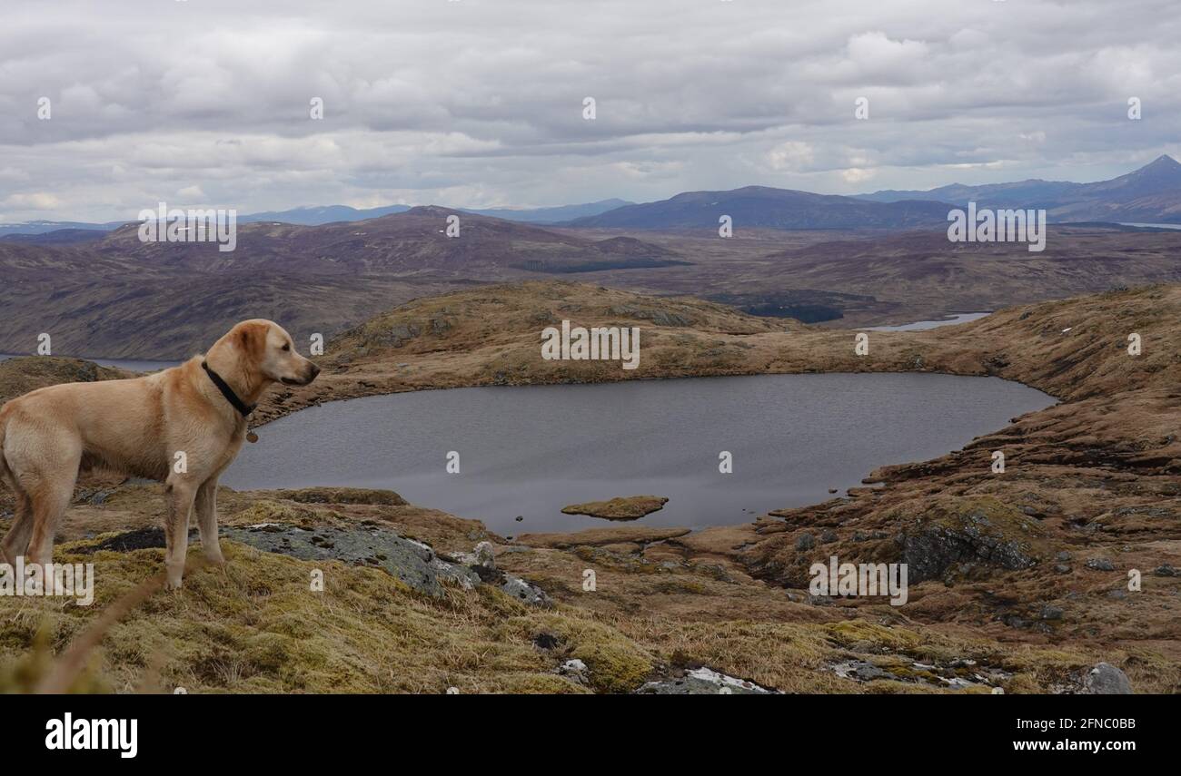 West highland railway aerial hi-res stock photography and images - Alamy
