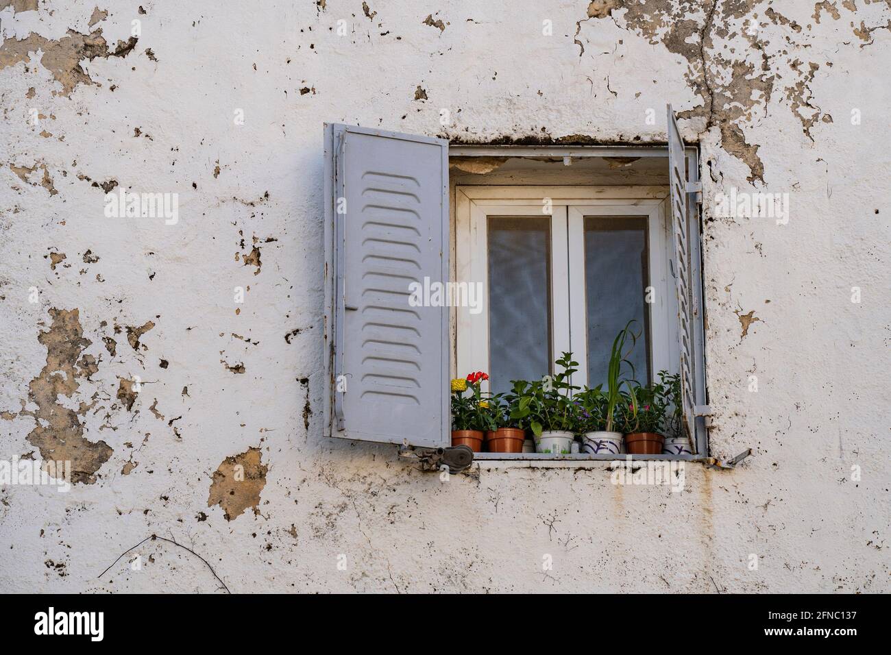 Flower pots decorating a window in an old, decrepit house, typical of ...