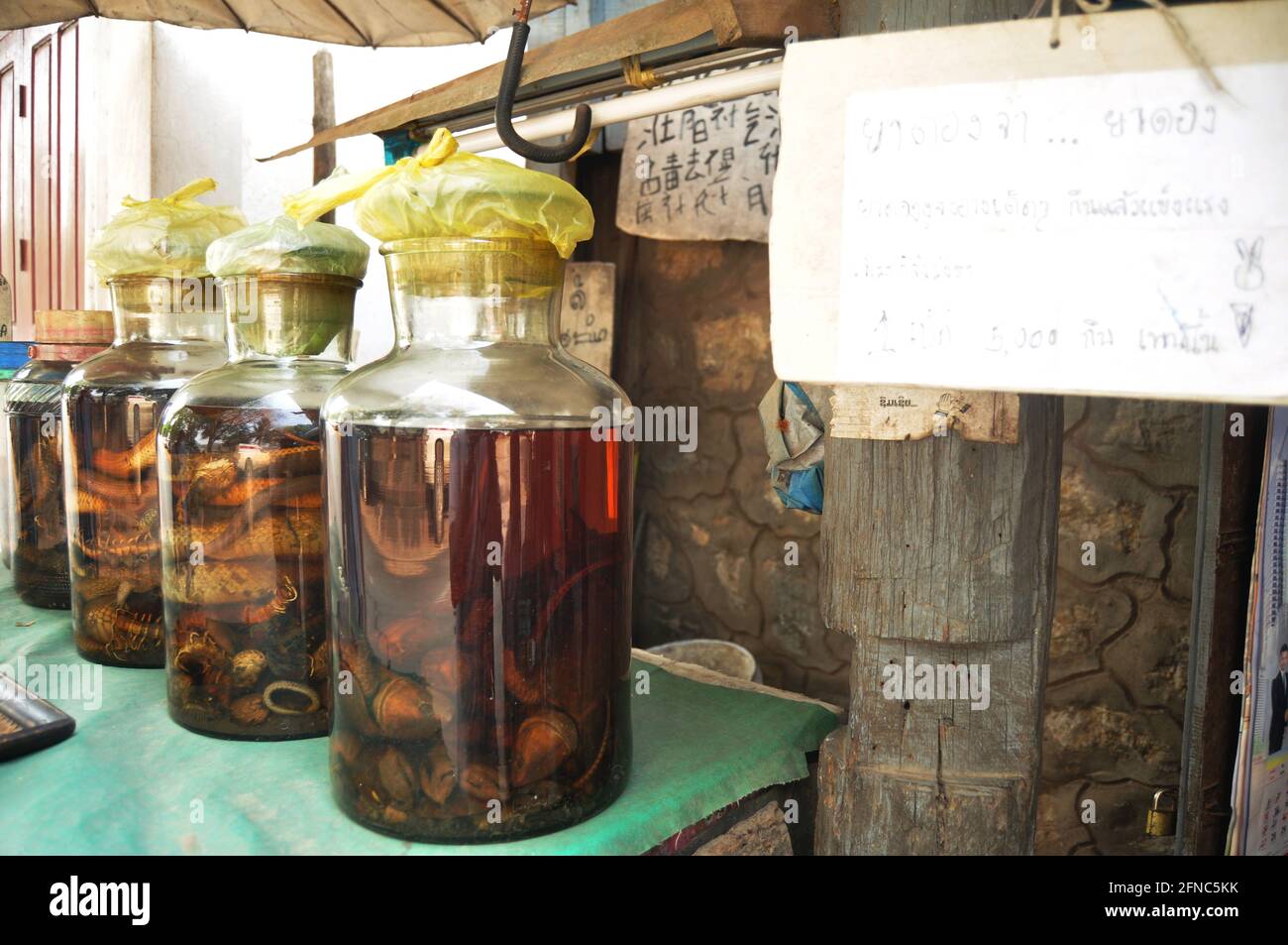 Pickled snake hi-res stock photography and images - Alamy