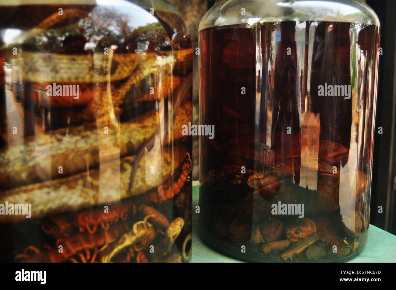 Pickled snake hi-res stock photography and images - Alamy