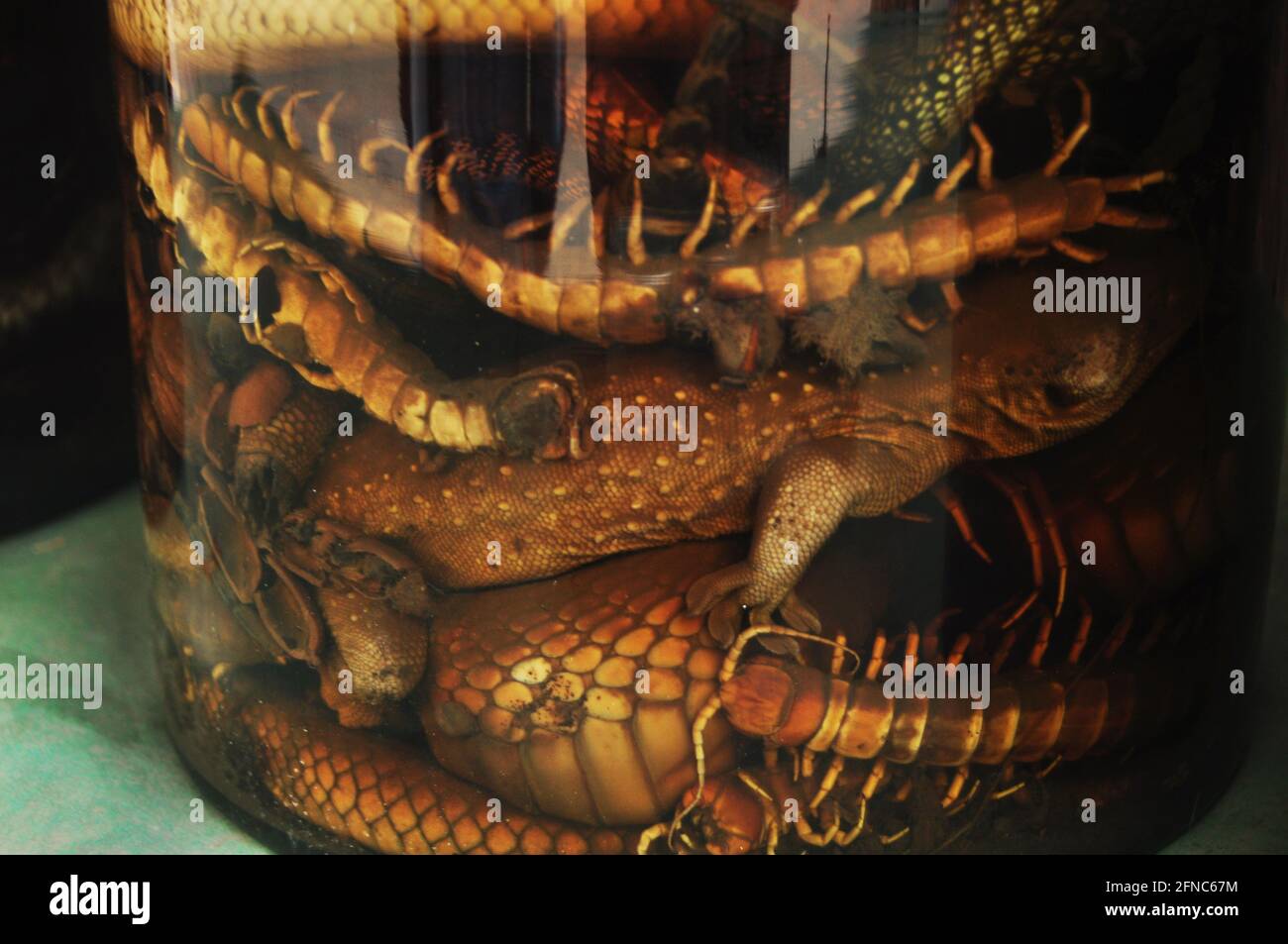 Pickled snake hi-res stock photography and images - Alamy