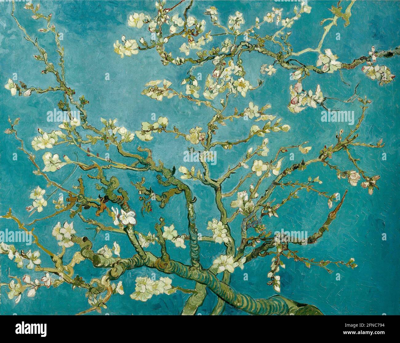 Van gogh paintings almond hi-res stock photography and images - Alamy