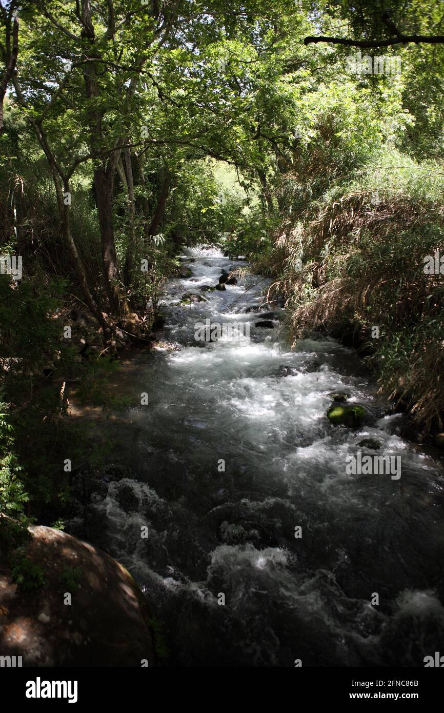 Sources of the jordan river hi-res stock photography and images - Alamy