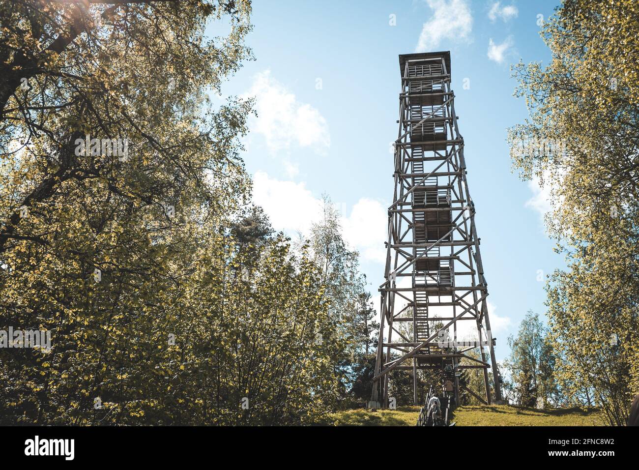 Teicu hi-res stock photography and images - Alamy