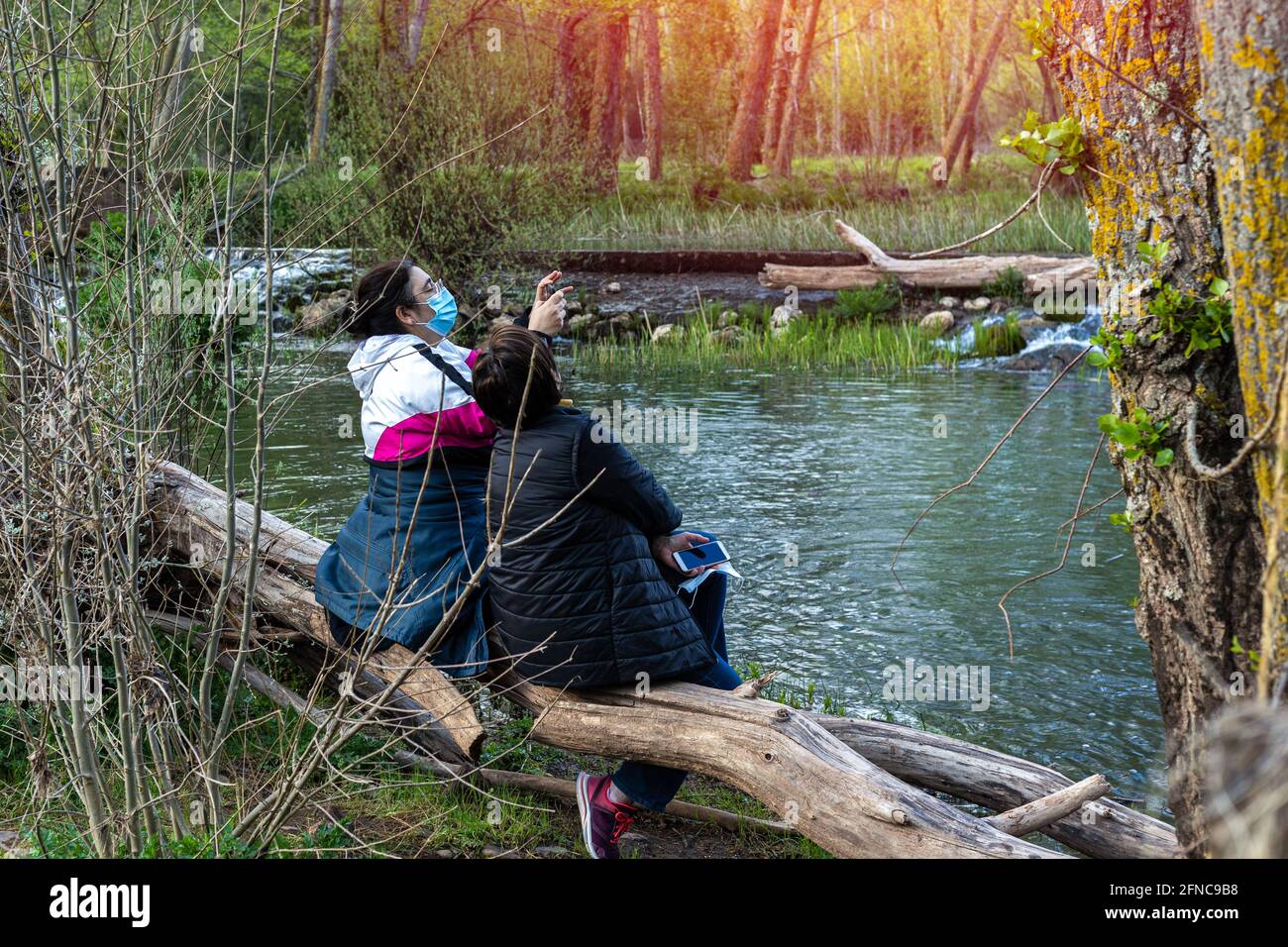 Two middle-aged women sitting on a fallen branch of a tree next to a ...