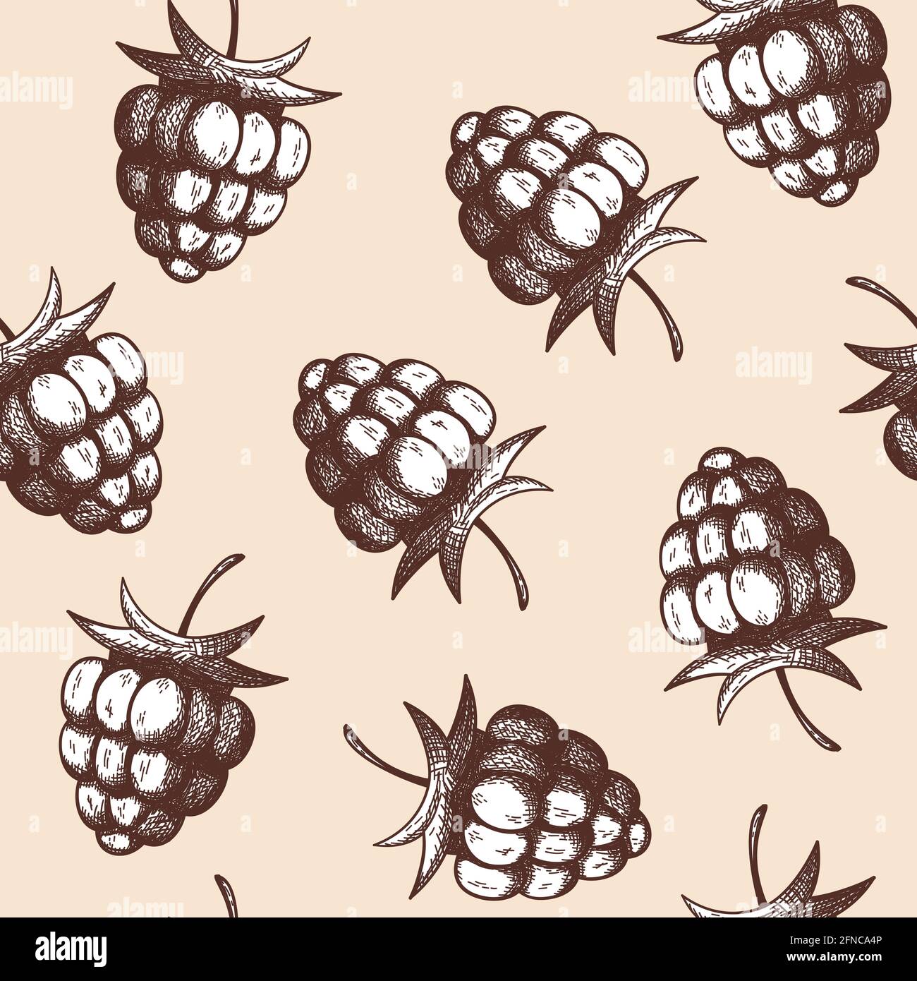 Seamles Pattern Of Raspberry. Hand Drawn Sketch. Retro Vintage Design ...