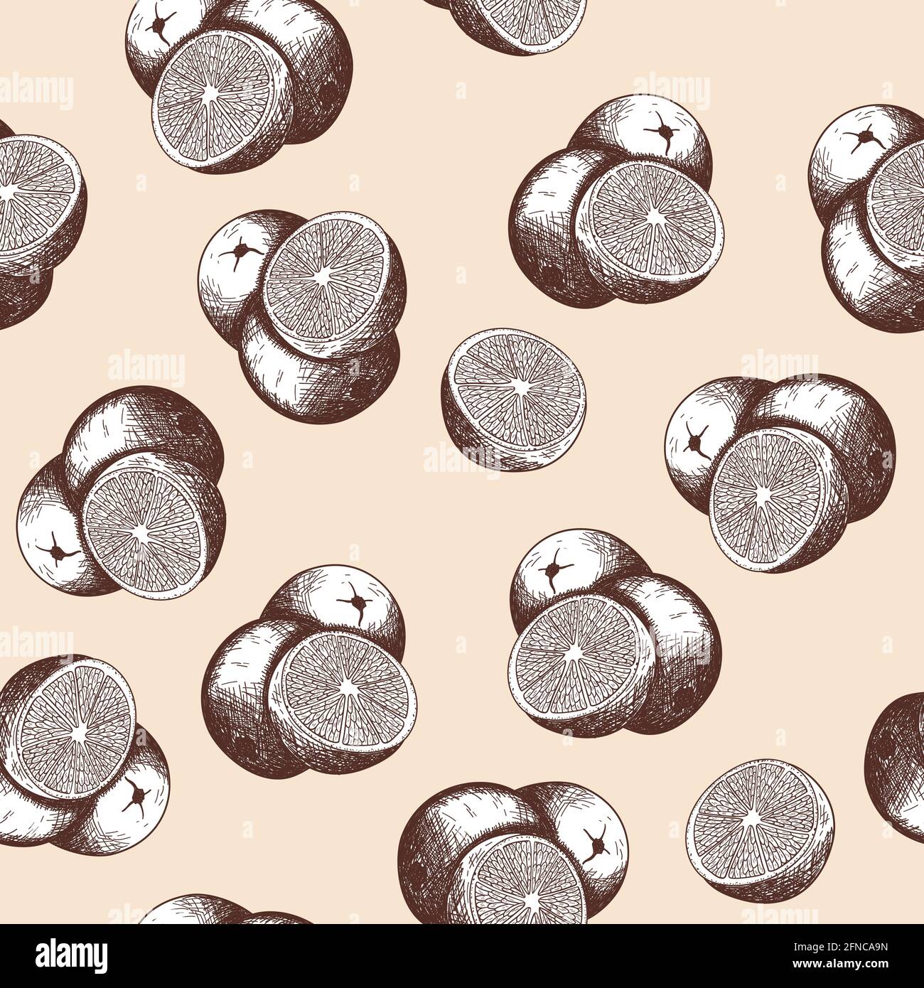 Seamles Pattern Of Orange. Hand Drawn Sketch. Retro Vintage Design ...