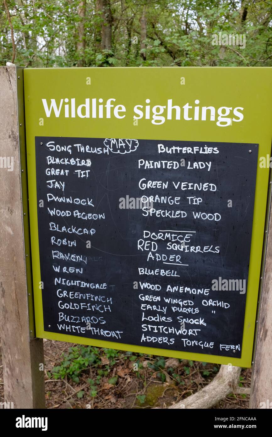 Wildlife,sightings,Newtown, nature, Reserve, National Trust, Isle of ...