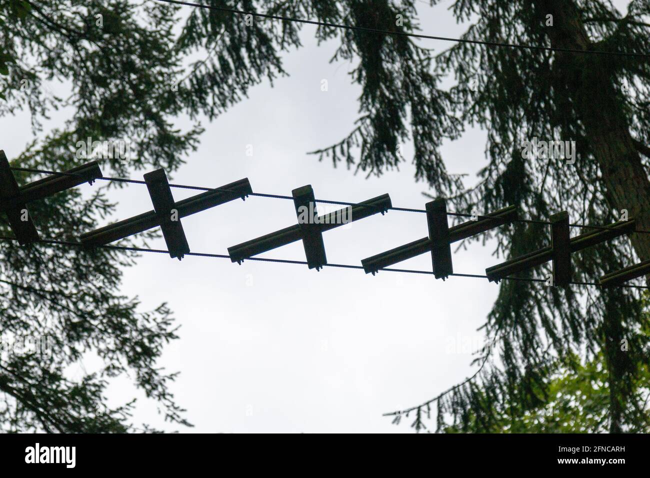 A section of a tree top obstacle course Stock Photo - Alamy