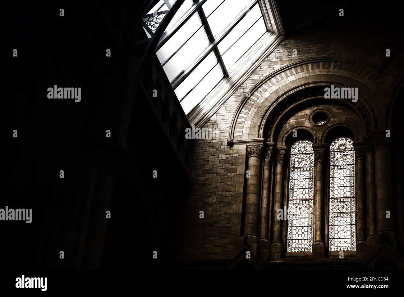 Natural history museum windows hi-res stock photography and images - Alamy