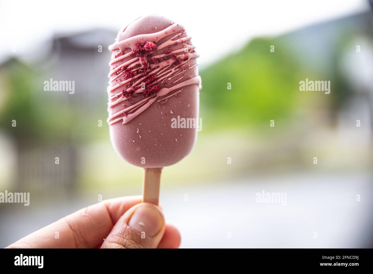 Ruby chocolate ice lolly summer dessert Stock Photo - Alamy
