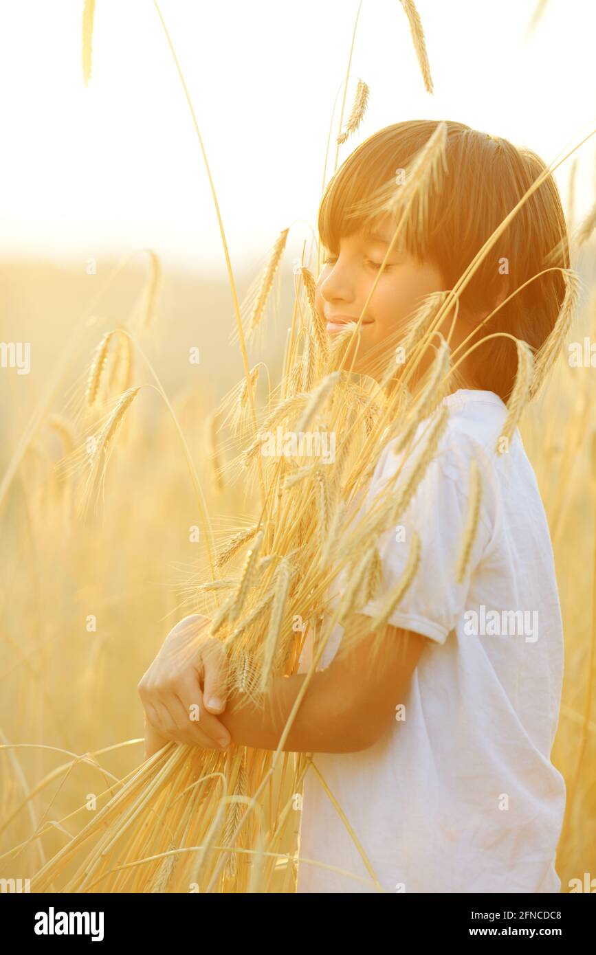 Kid at wheat field hugging harvest grain Stock Photo - Alamy