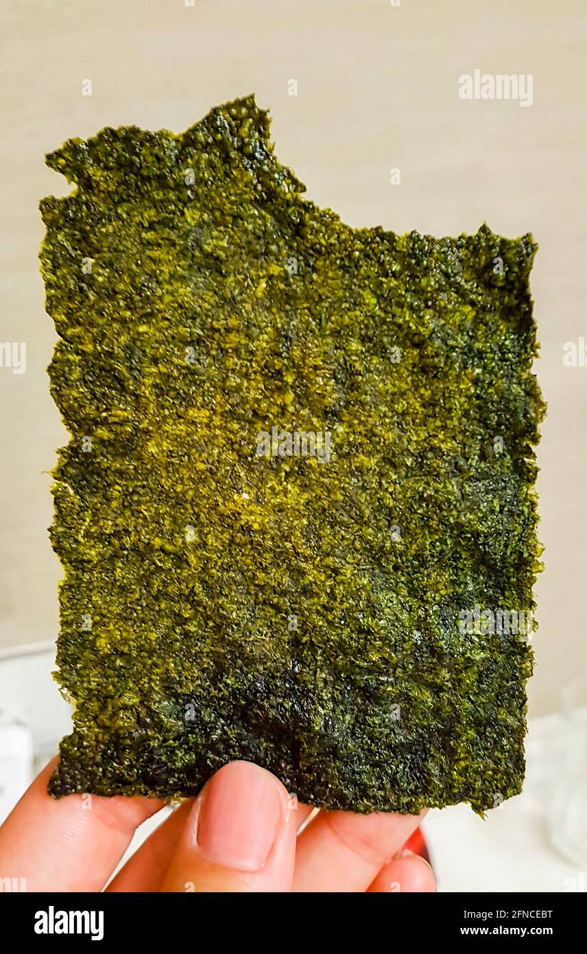 Thai seaweed instant snack unpacked hold in the hand in Thailand Stock ...