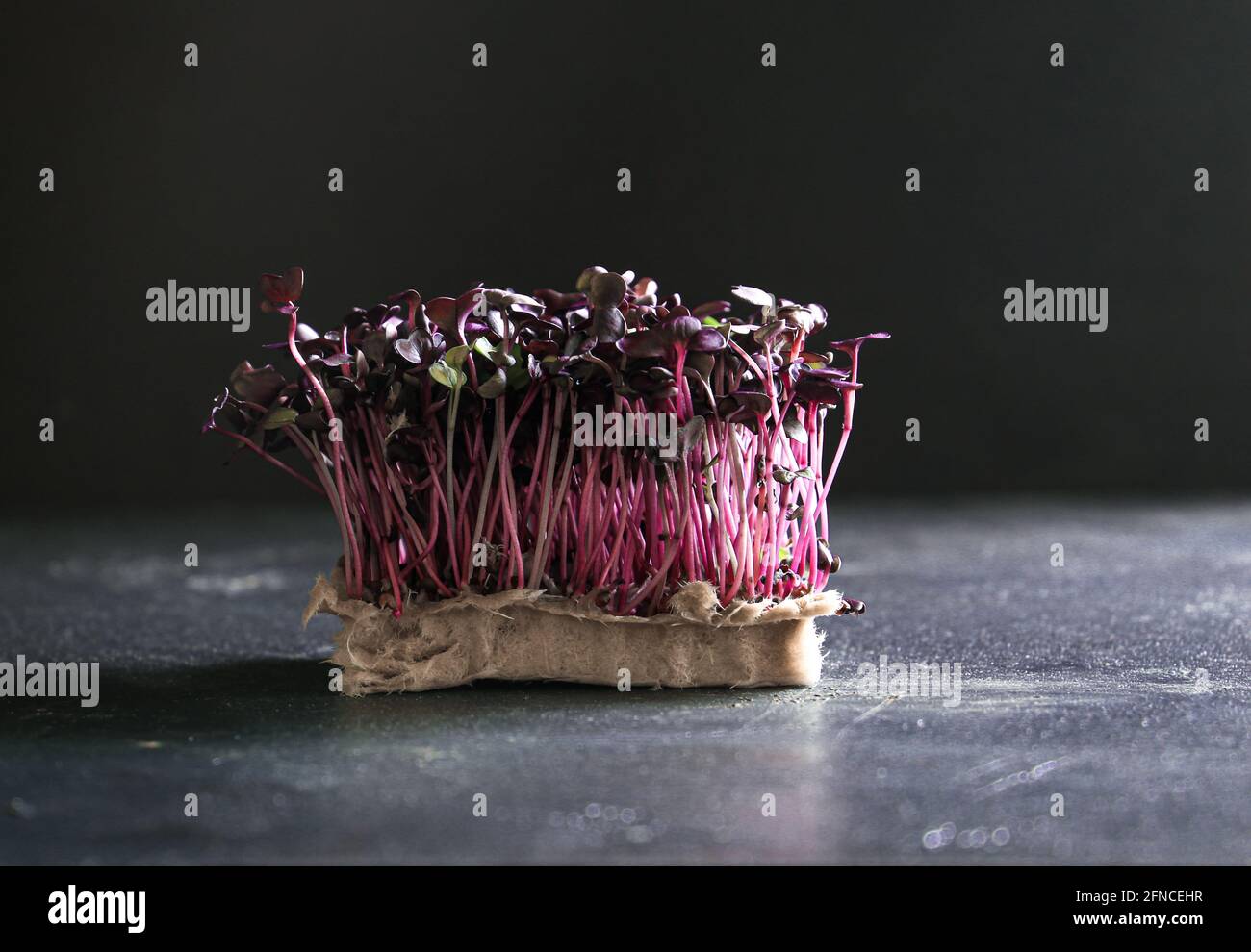 Cress leaf hi-res stock photography and images - Alamy