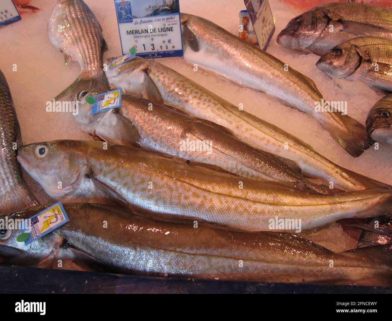 Jonzac france hi-res stock photography and images - Alamy