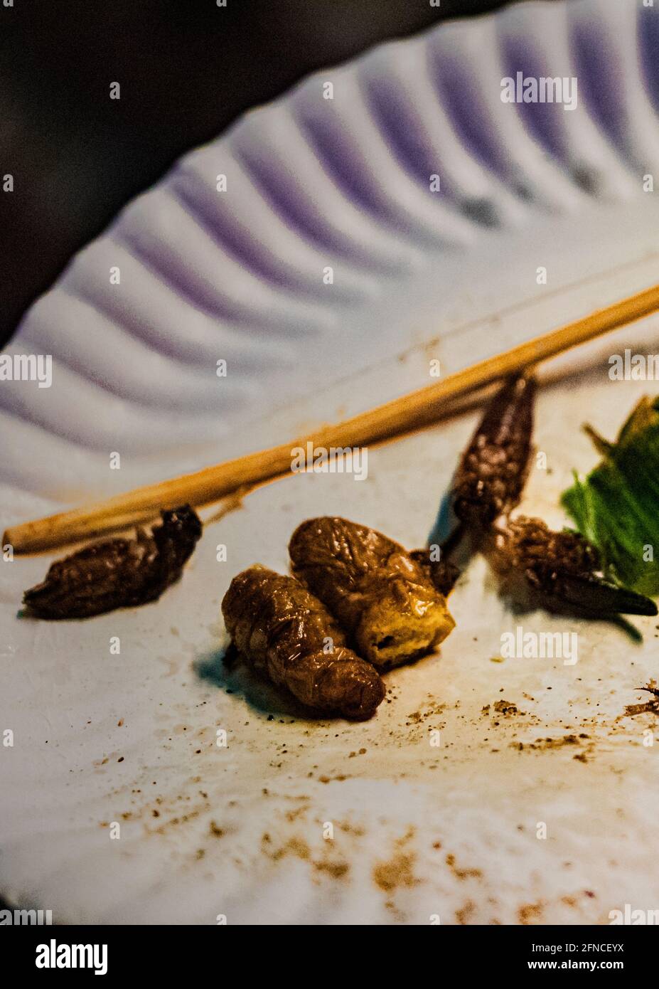 Disgusting Thai food and sale of insects for eating consumption at ...