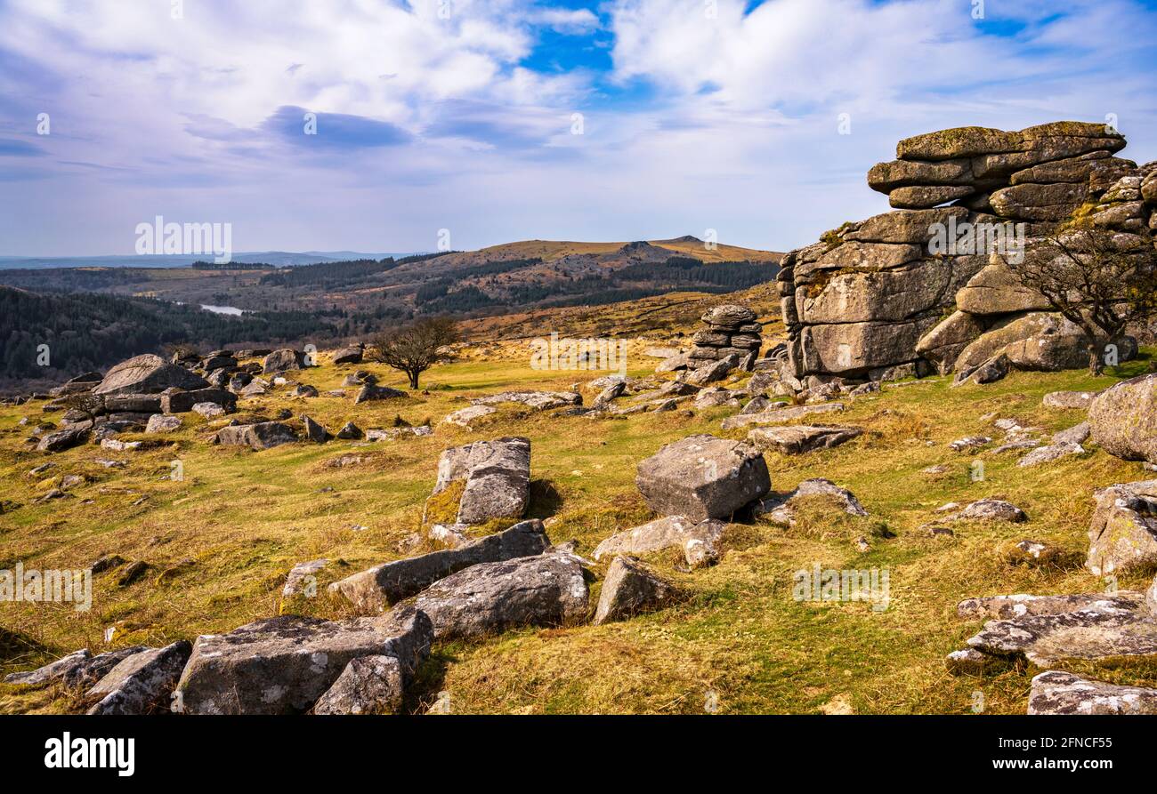 Granite outcrops on Combshead Tor, Dartmoor National Park, Devon ...