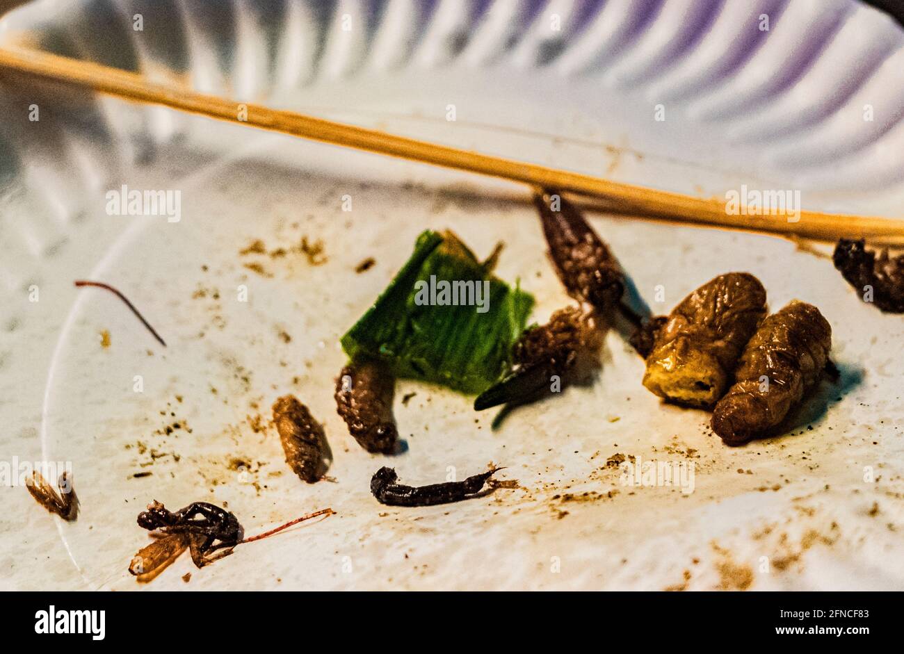 Disgusting Thai food and sale of insects for eating consumption at ...