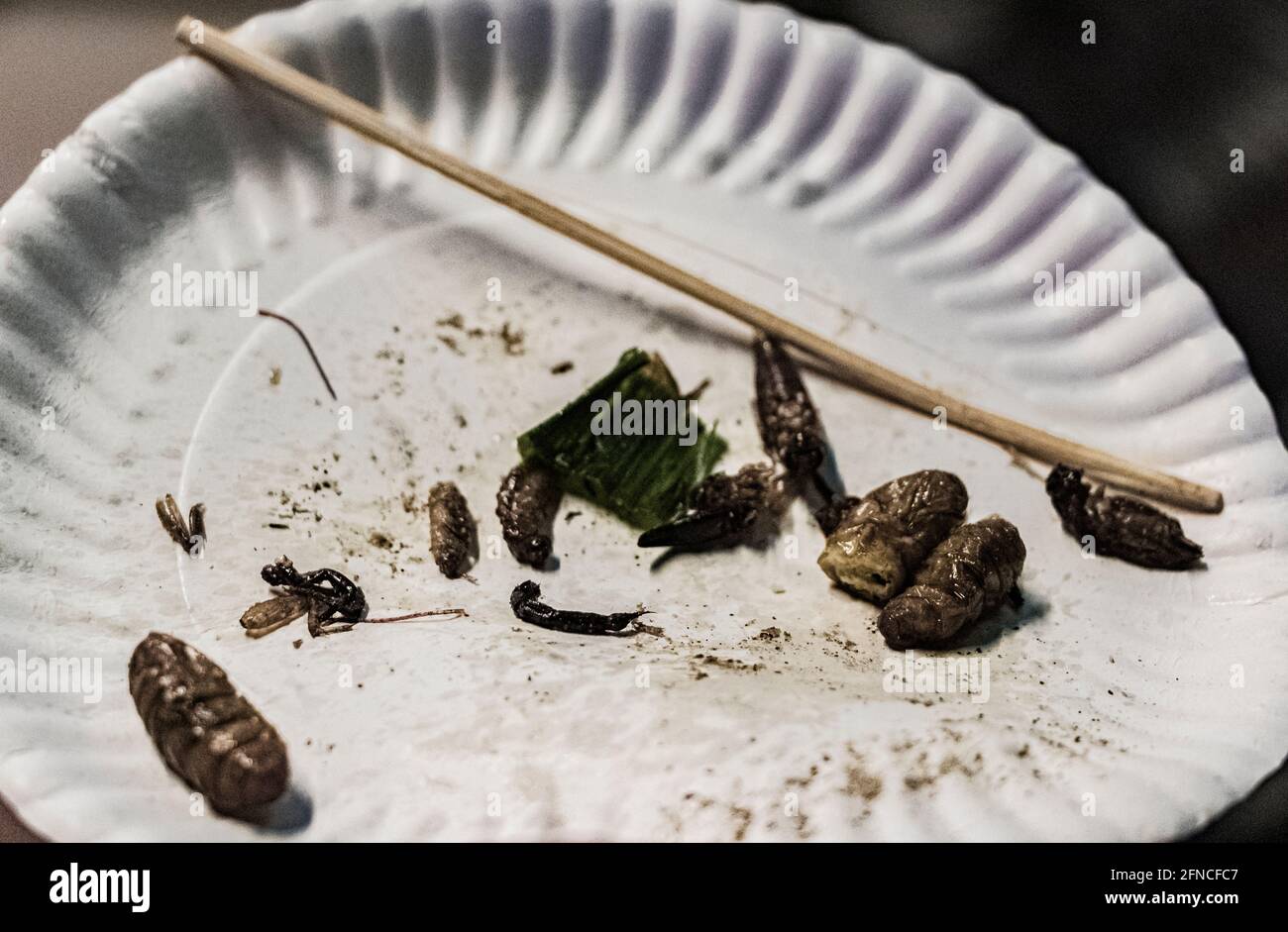 Disgusting Thai food and sale of insects for eating consumption at ...