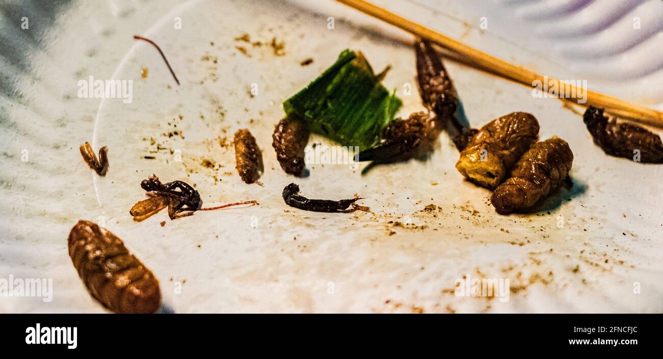 Disgusting Thai food and sale of insects for eating consumption at ...