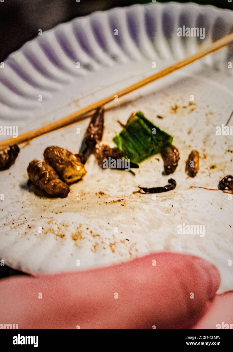 Disgusting Thai food and sale of insects for eating consumption at ...