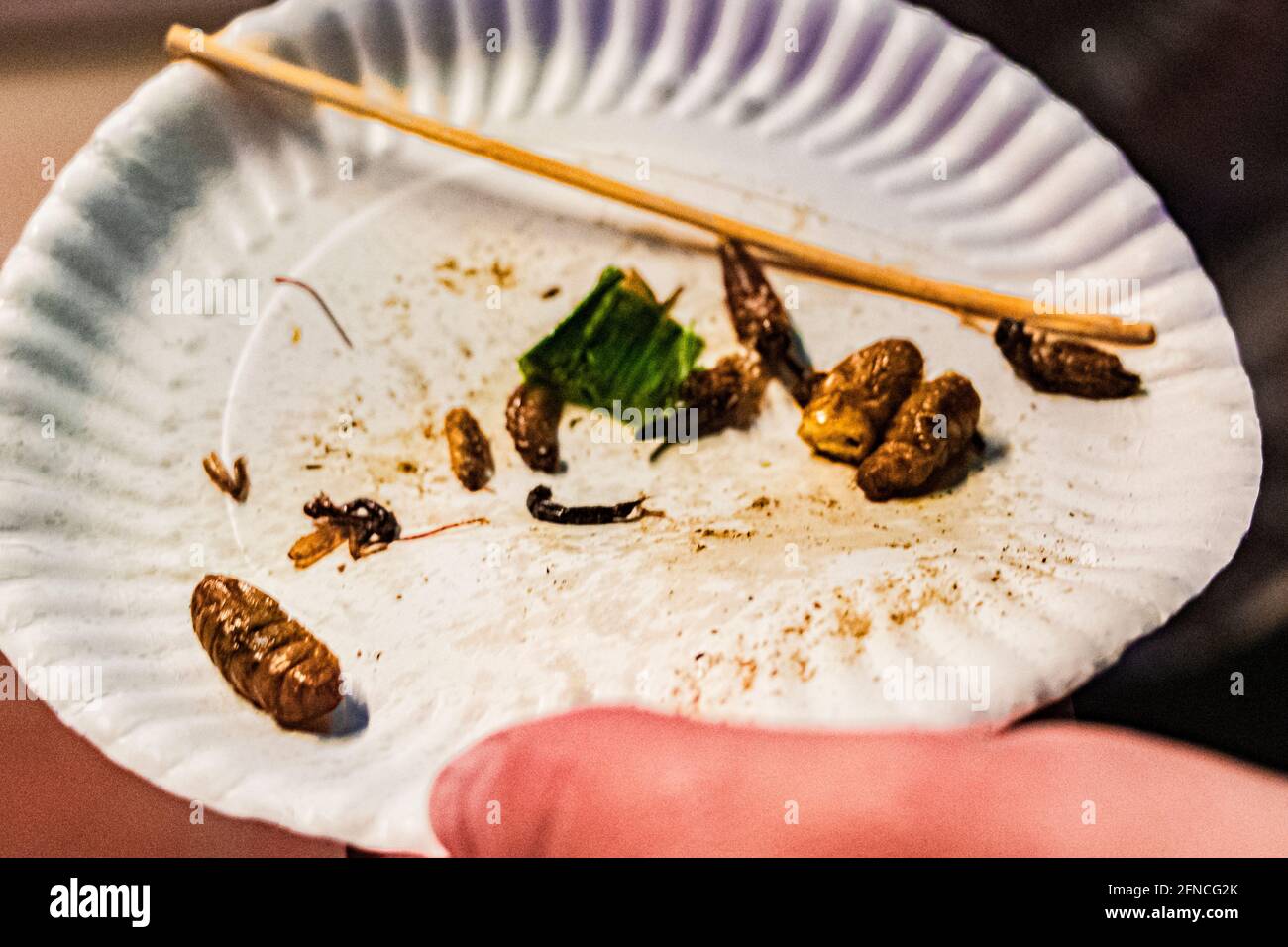Disgusting Thai food and sale of insects for eating consumption at ...