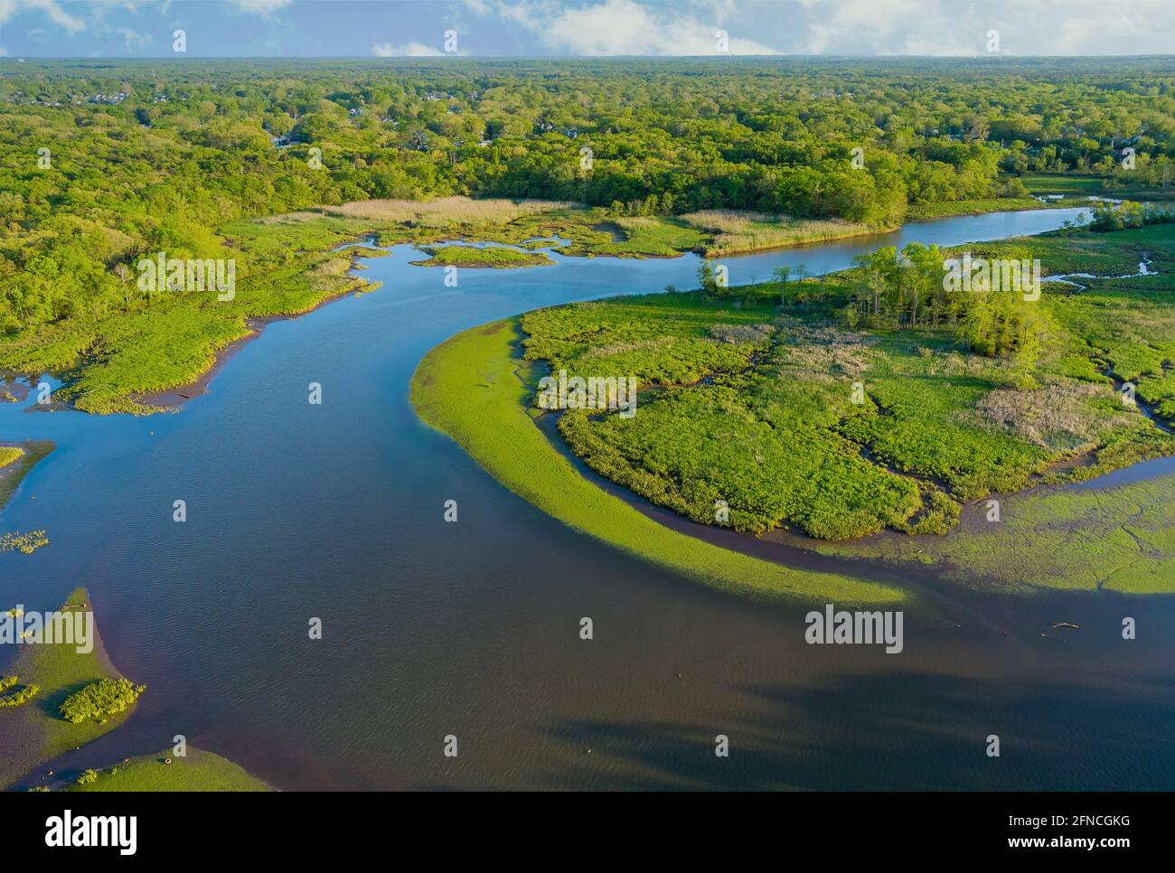 Aerial view of pond on a sunny summer day forest panorama Stock Photo ...