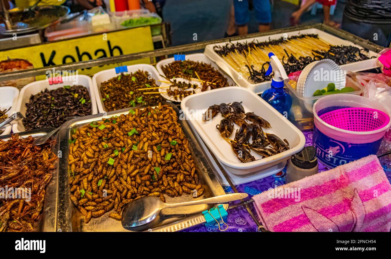 Bangkok Thailand 22. Mai 2018 Disgusting Thai food and sale of insects ...