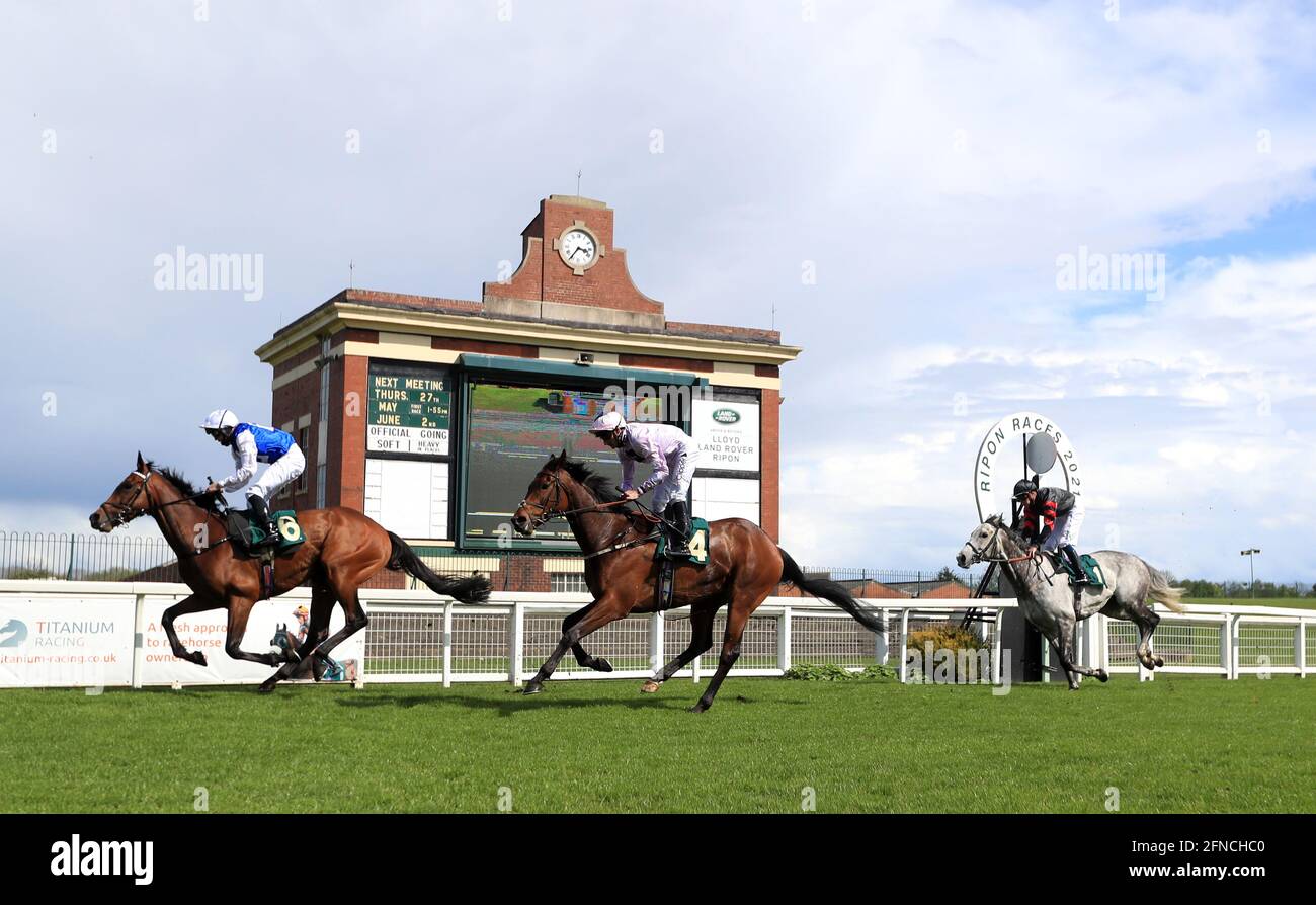 Ripon racecourse hi-res stock photography and images - Alamy