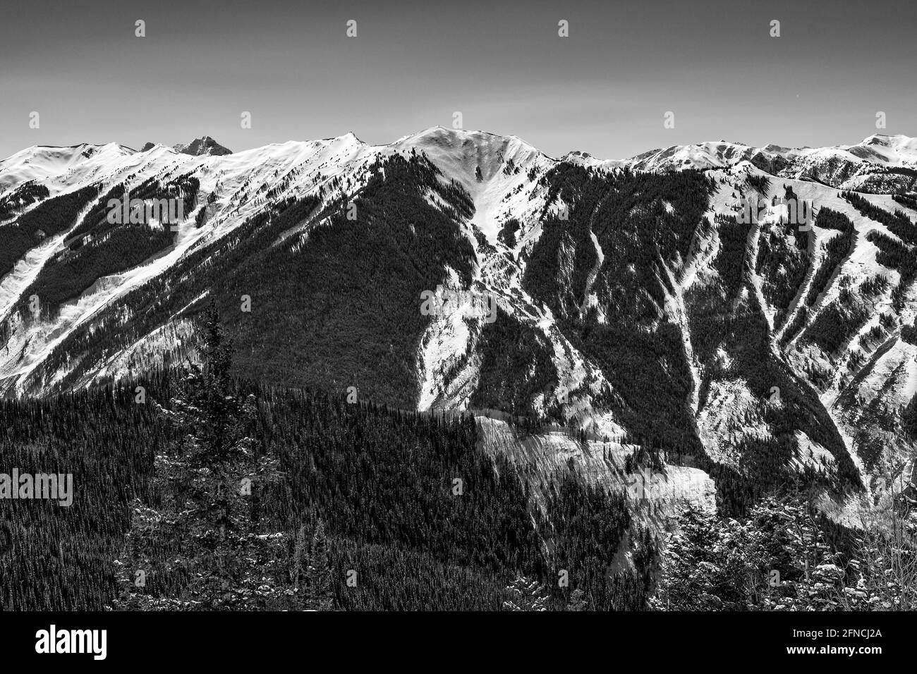 Wonderland black and hi-res stock photography and images - Alamy