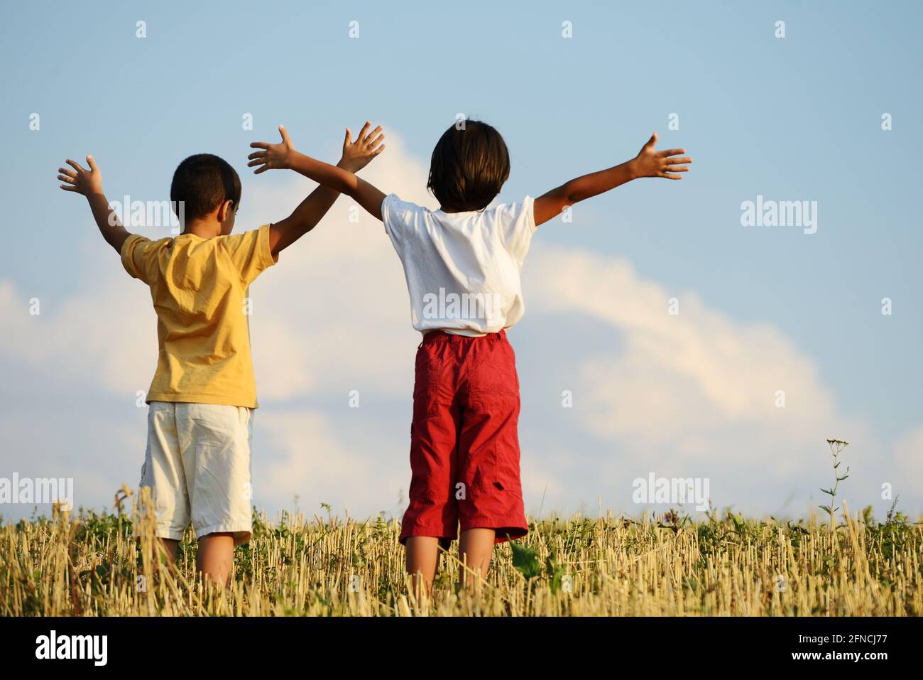 Two kids standing on meadow with arms up in air Stock Photo - Alamy