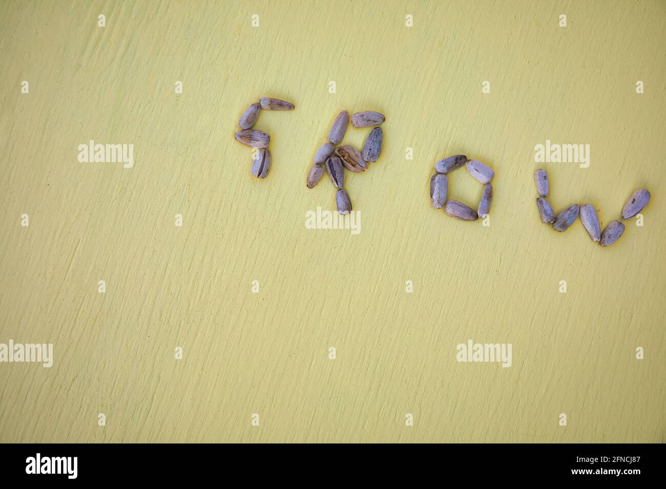 Word grow in sunflower seeds hi-res stock photography and images - Alamy
