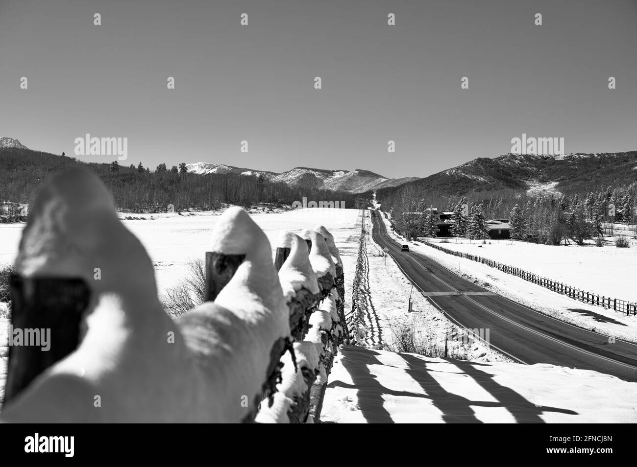 Wonderland black and hi-res stock photography and images - Alamy