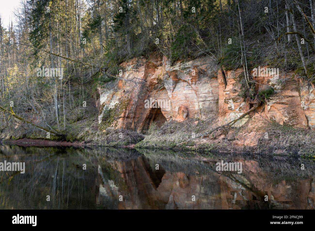 Red sandstones cliffs angel cave at the river Salaca Stock Photo - Alamy
