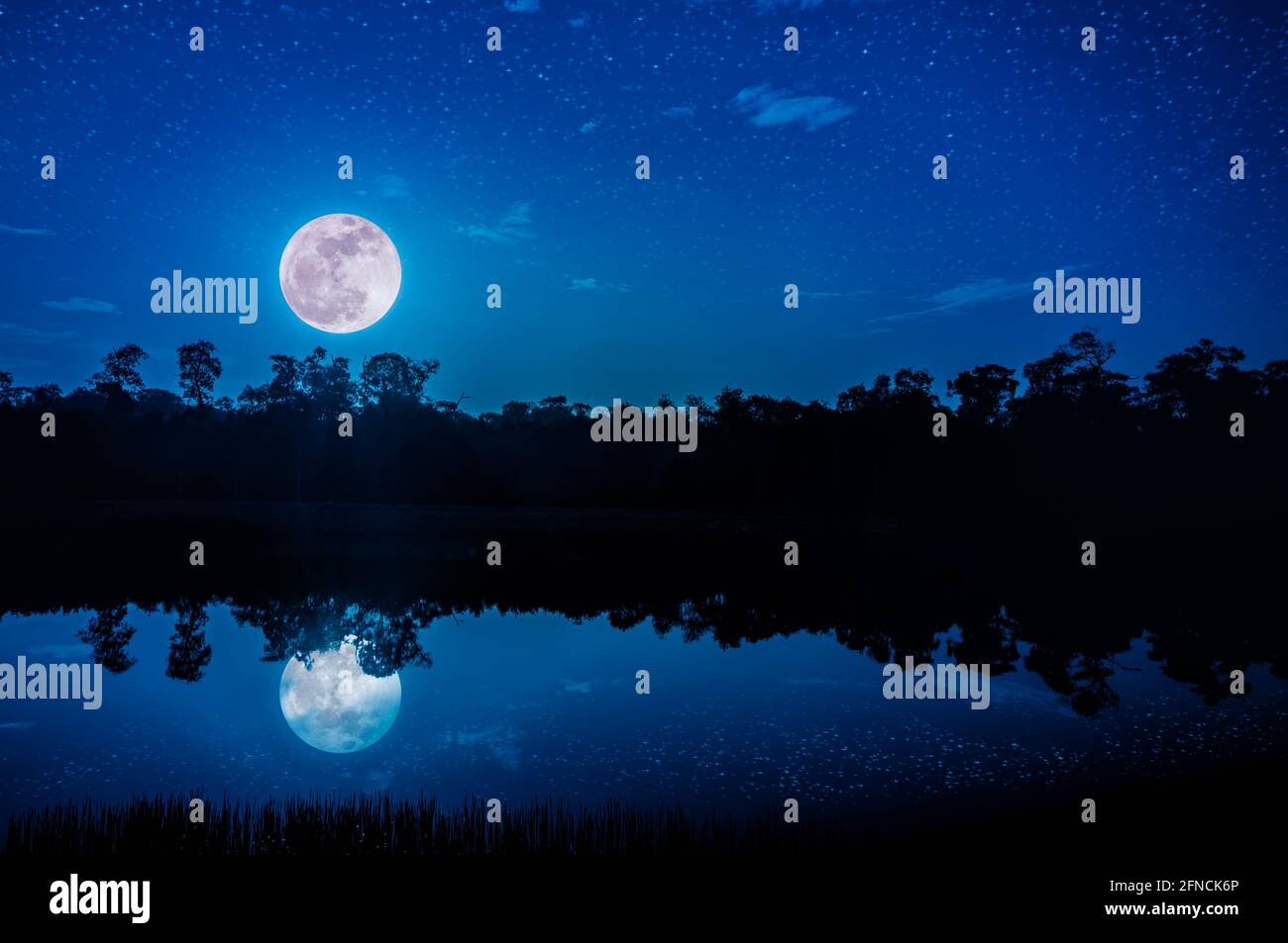 Beautiful landscape of blue sky with many stars and full moon above ...