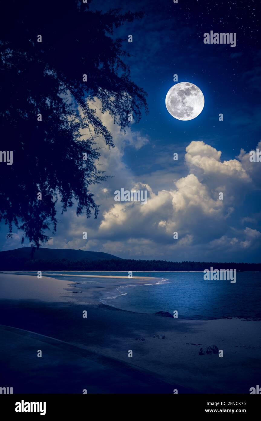 Beautiful landscape view on seascape to night. Attractive many stars ...
