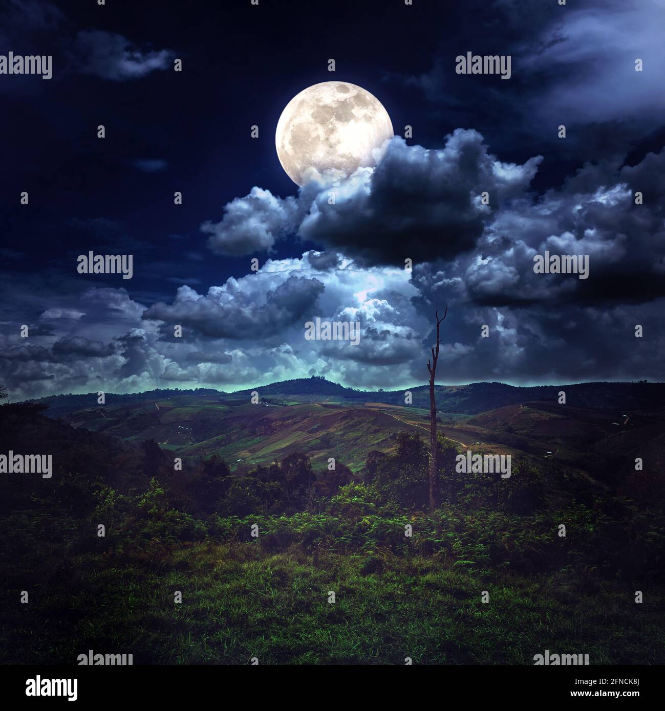 Sere High Resolution Stock Photography and Images - Alamy