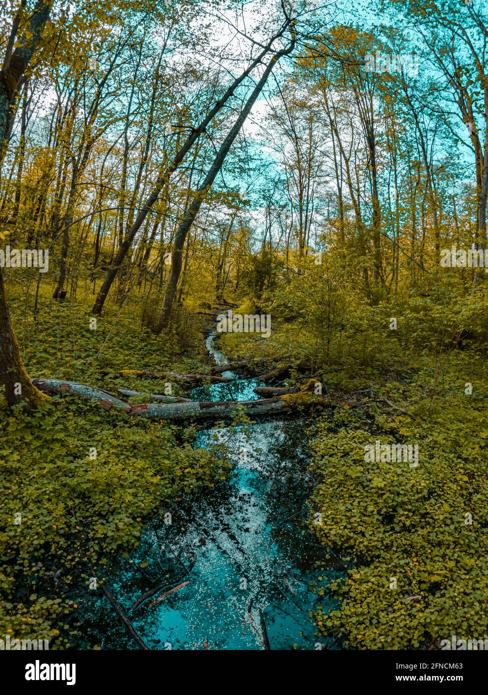 Beautiful small river Stock Photo - Alamy