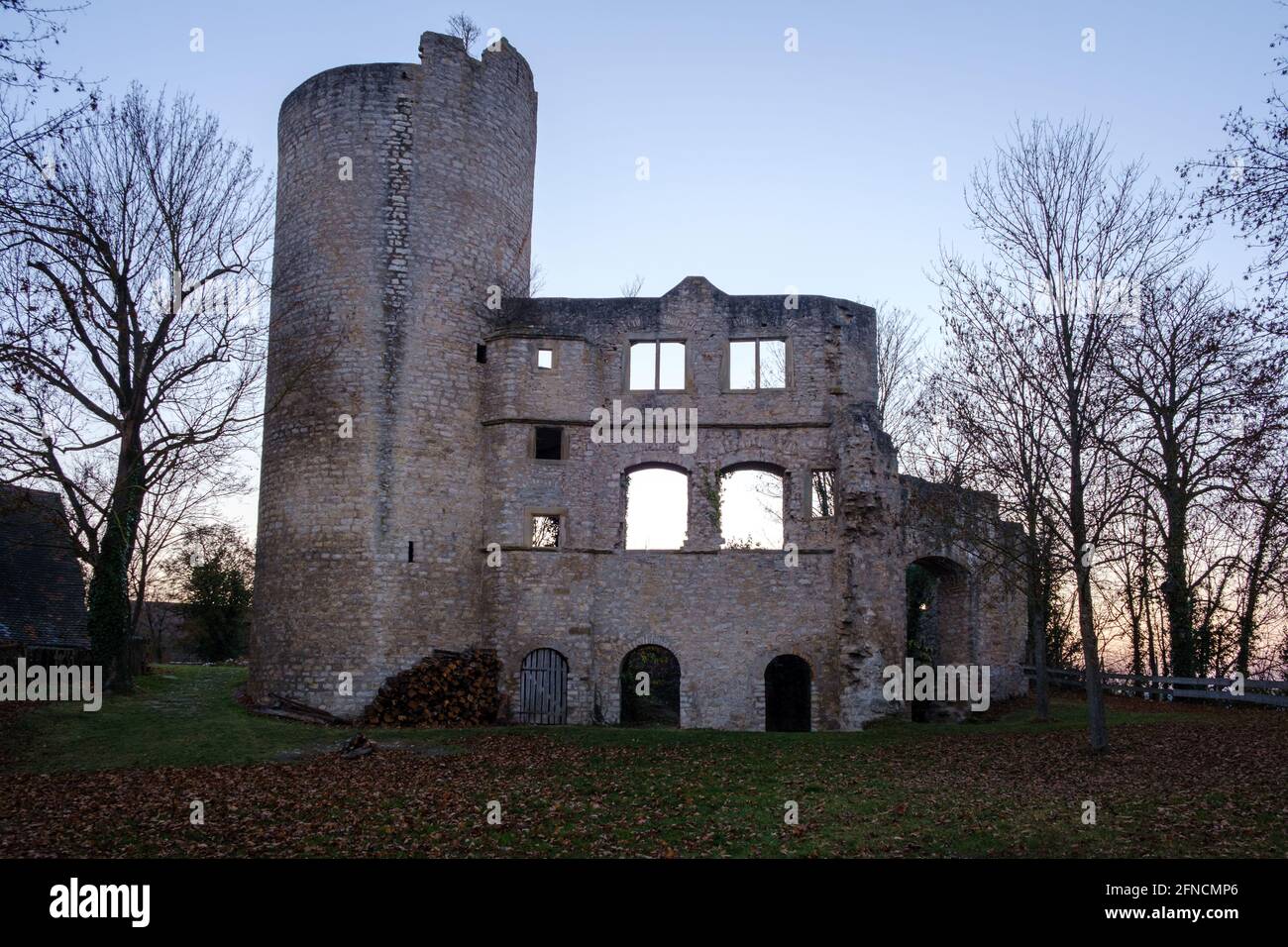 Building destroyed by trees hi-res stock photography and images - Alamy