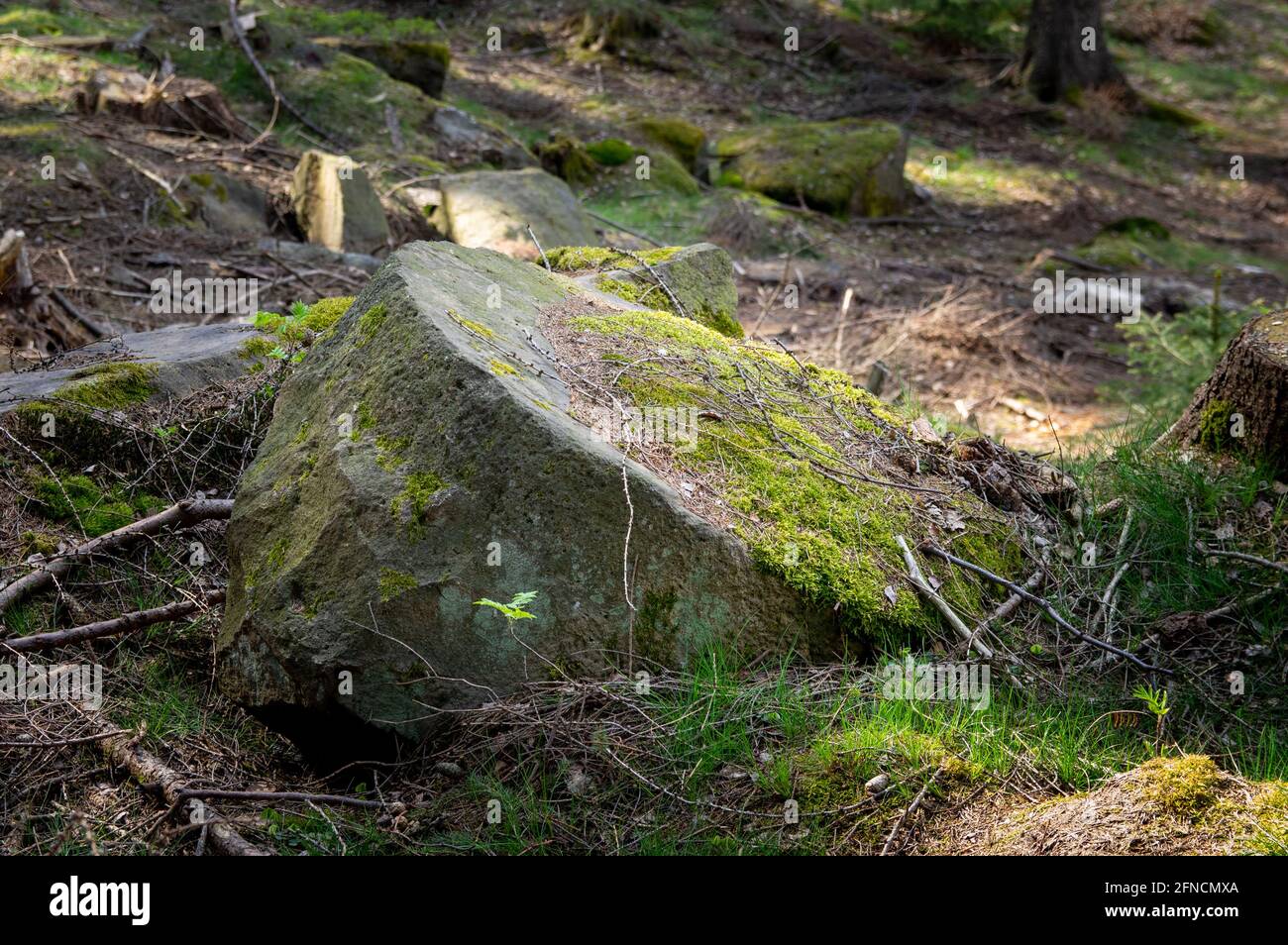 Old unfinished millstone blank in a abandoned quarry in the Zittau ...