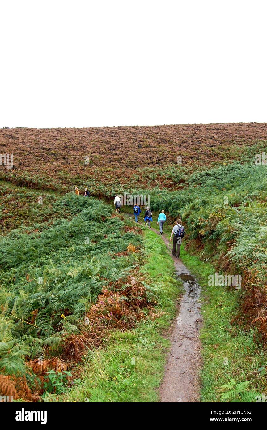 Jersey autumn channel islands hi-res stock photography and images - Alamy