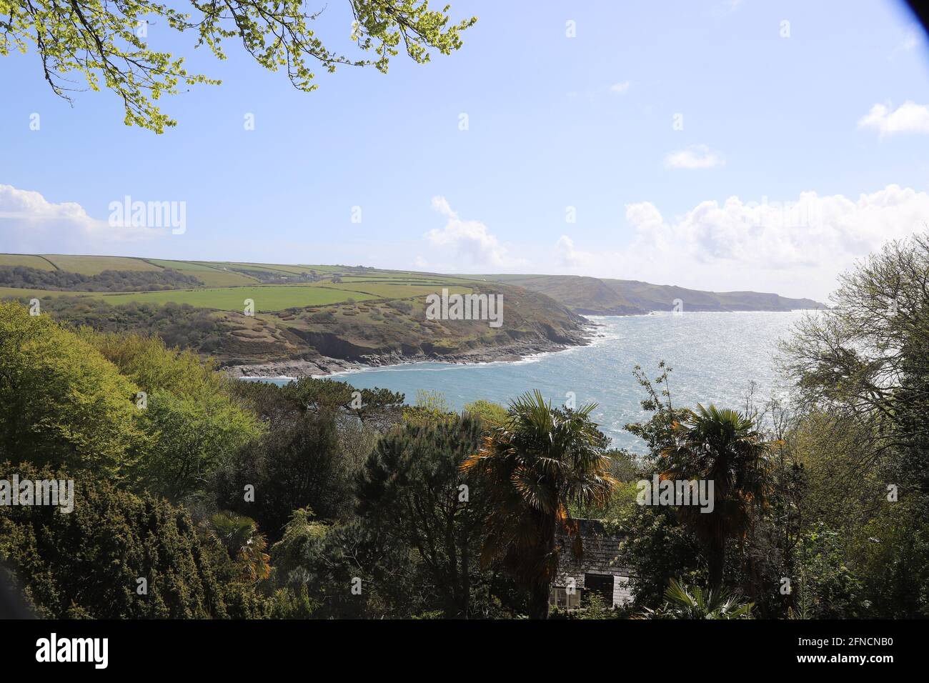 Scenic views of Salcombe estuary in Devon Stock Photo - Alamy