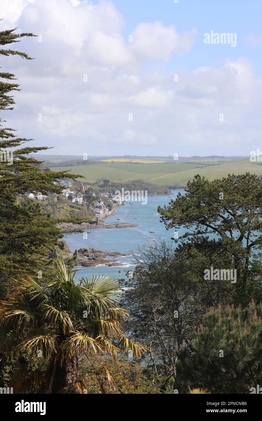 Scenic views of Salcombe estuary in Devon Stock Photo - Alamy